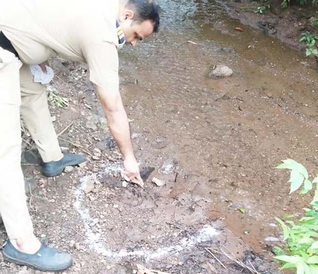 धामणसई आदिवासीवाडीतील महिलेची गळा दाबून हत्या. - Raigad Times