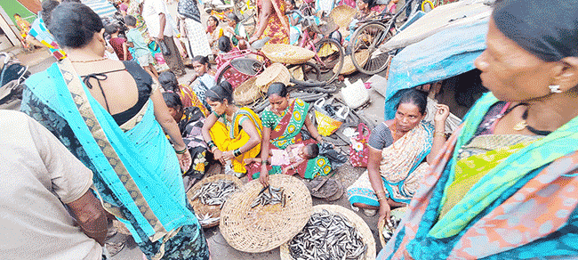 रायगडात - Raigad Times